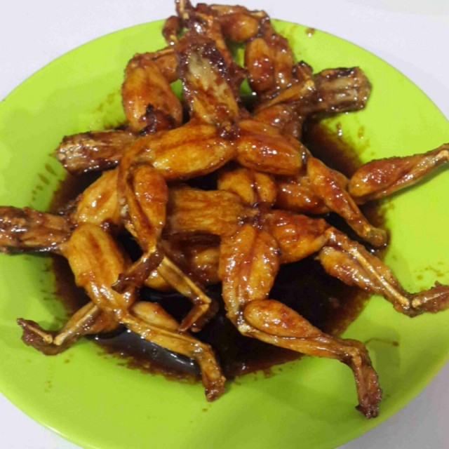 Hukum Makan Kodok - Syariah Online DepokSyariah Online Depok